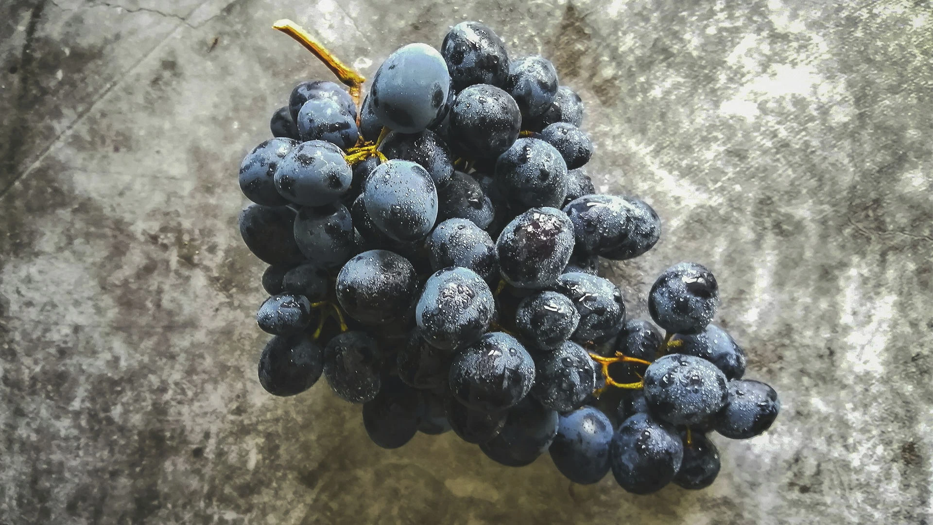 Discover Clairette: Everything You Need to Know About this Grape Varietal
